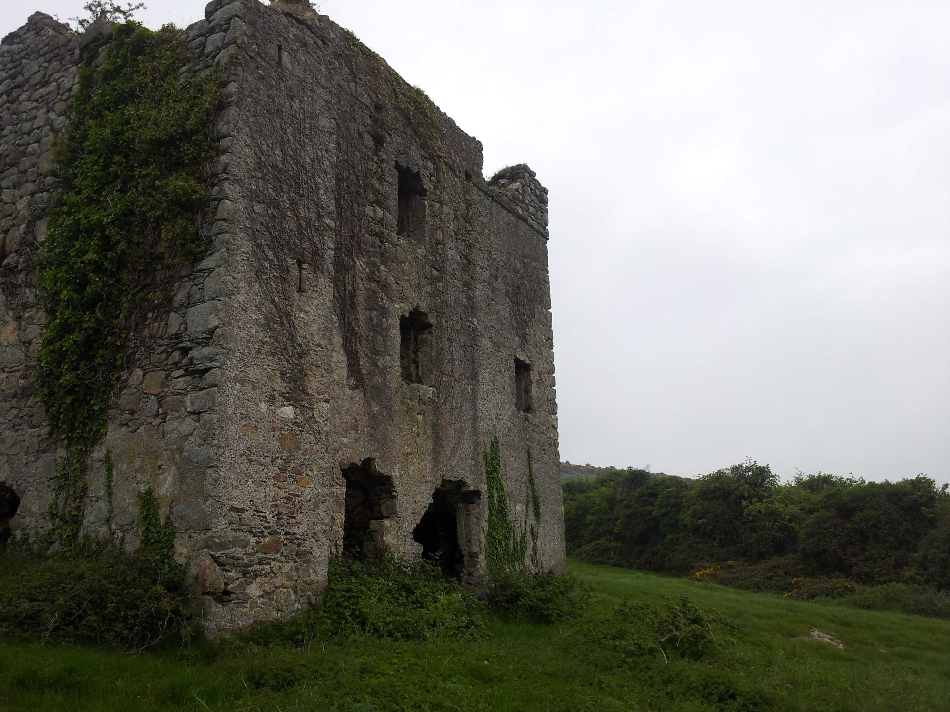 14. Puck’s Castle, Rathmichael, Co. Dublin | Visions Of The Past