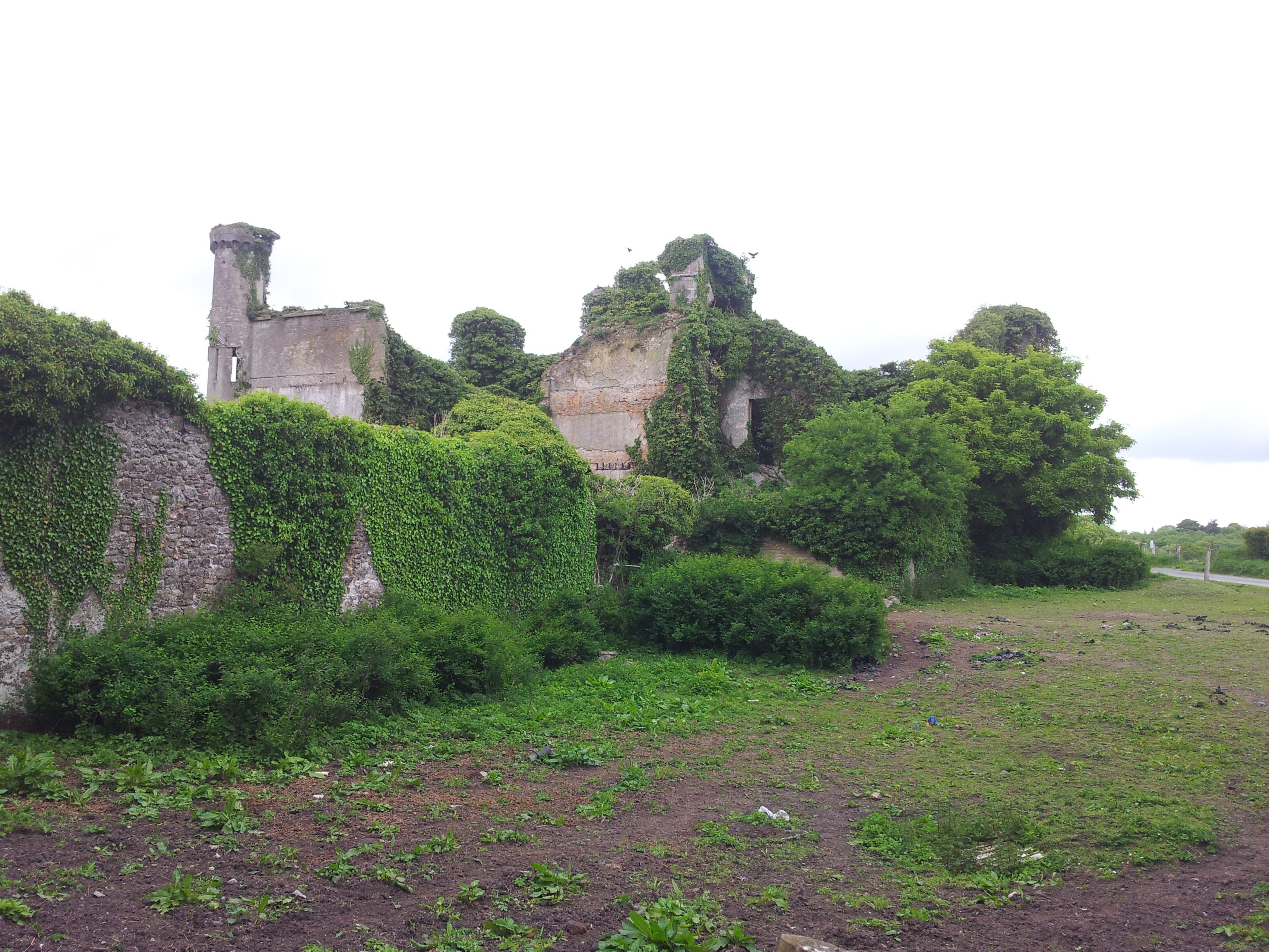 22. Moydrum Castle, Co. Westmeath | Visions Of The Past