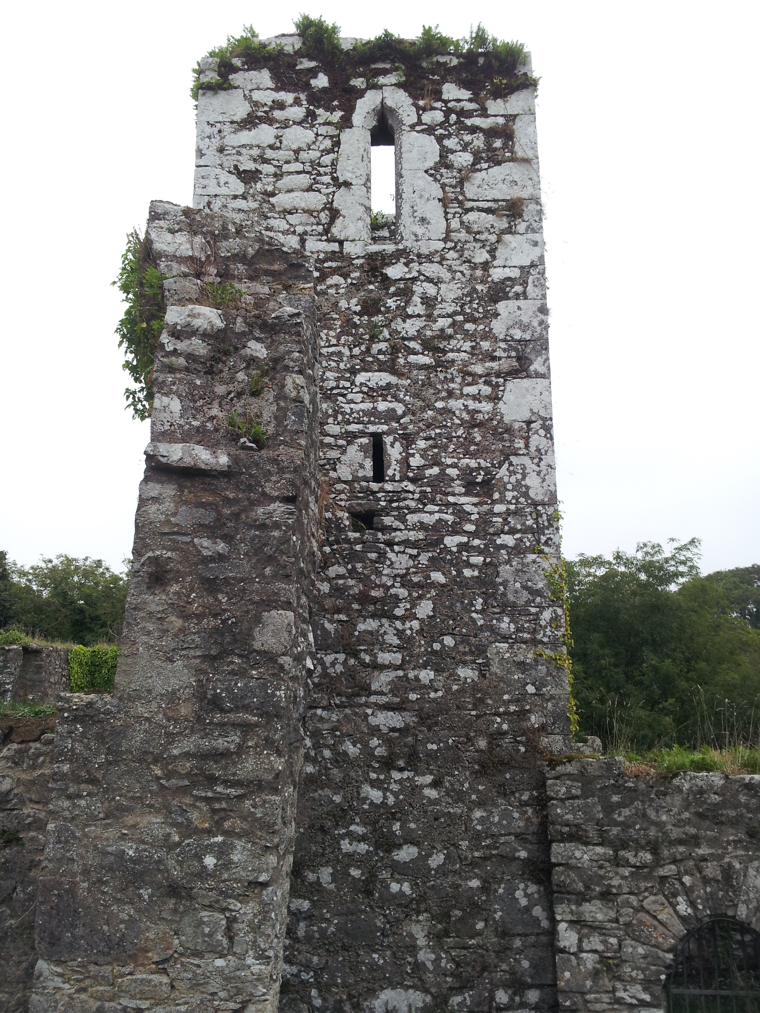 36. Bridgetown Priory, Co. Cork | Visions Of The Past