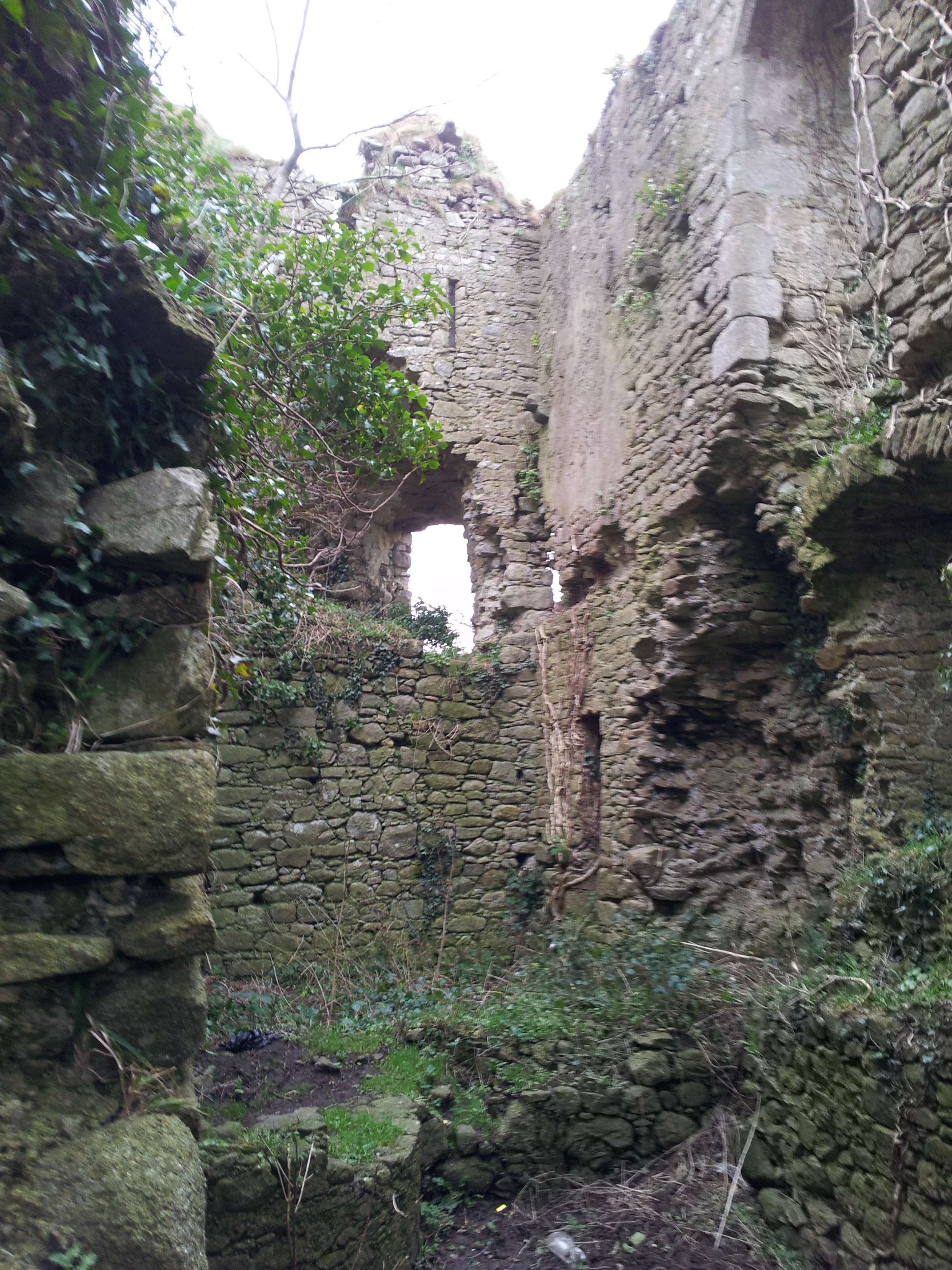 11. Clonmore Castle, Co. Carlow | Visions Of The Past