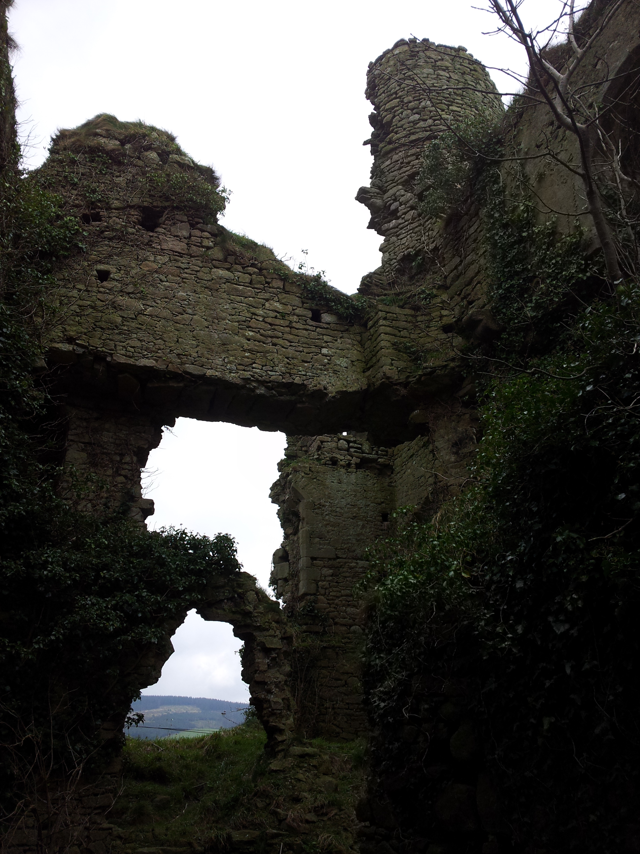 20. Clonmore Castle, Co. Carlow | Visions Of The Past