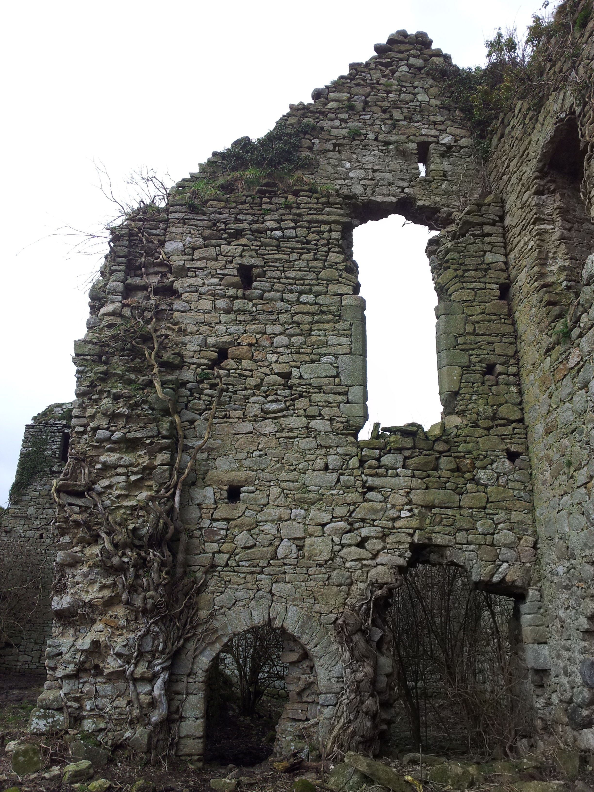 21. Clonmore Castle, Co. Carlow | Visions Of The Past