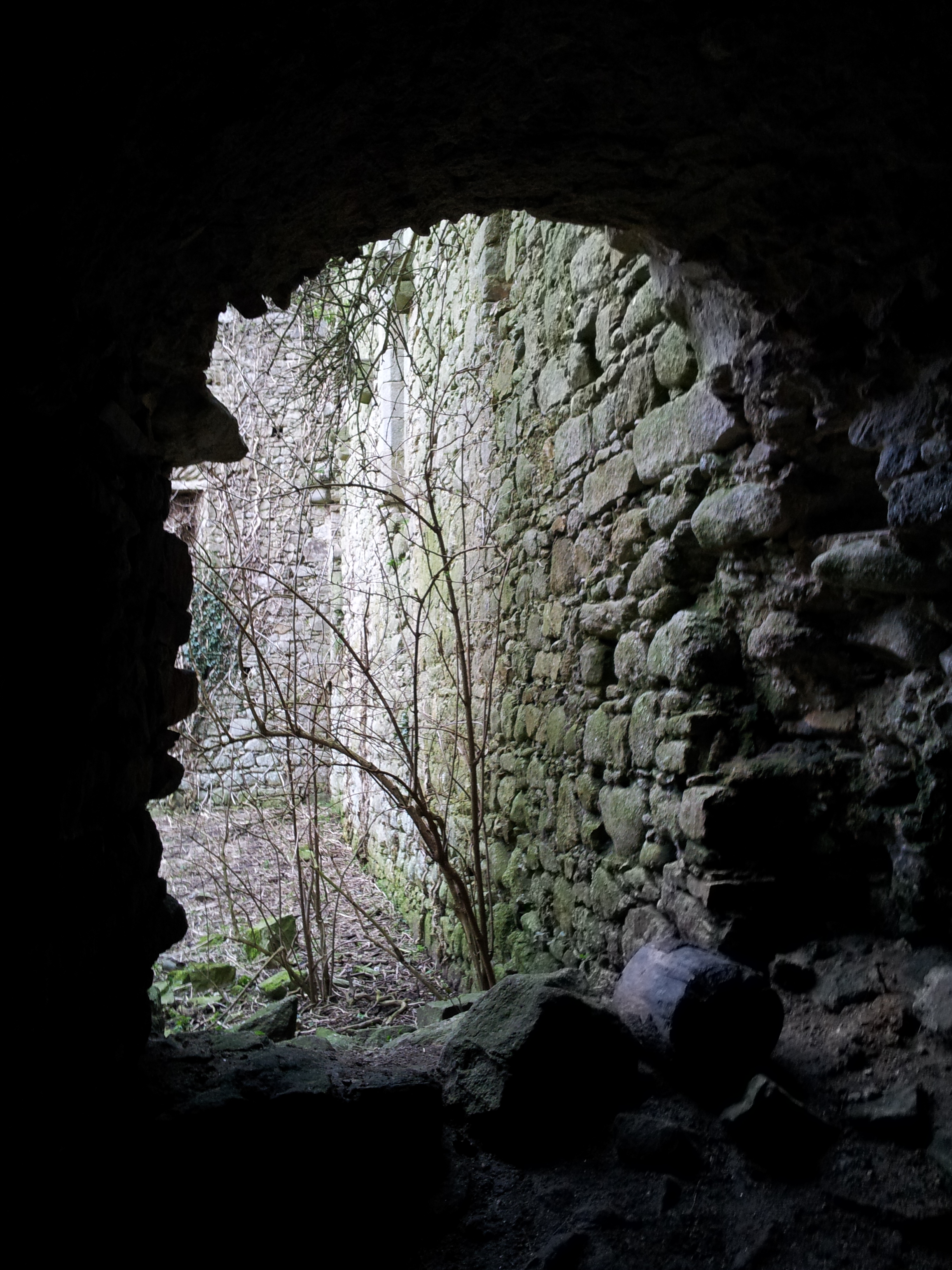 24. Clonmore Castle, Co. Carlow | Visions Of The Past
