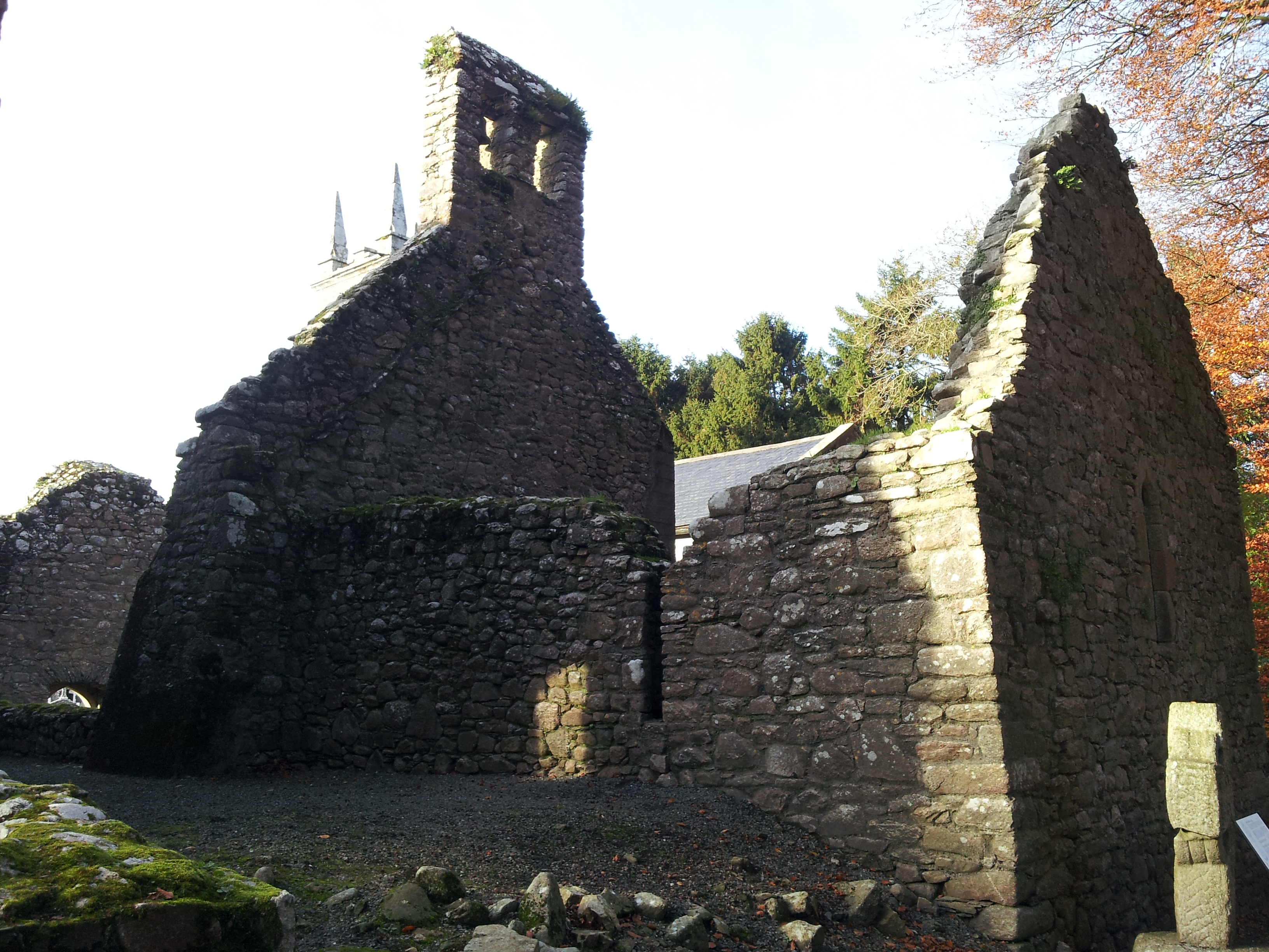 19. St Mullin’s Monastic Site, Co. Carlow | Visions Of The Past