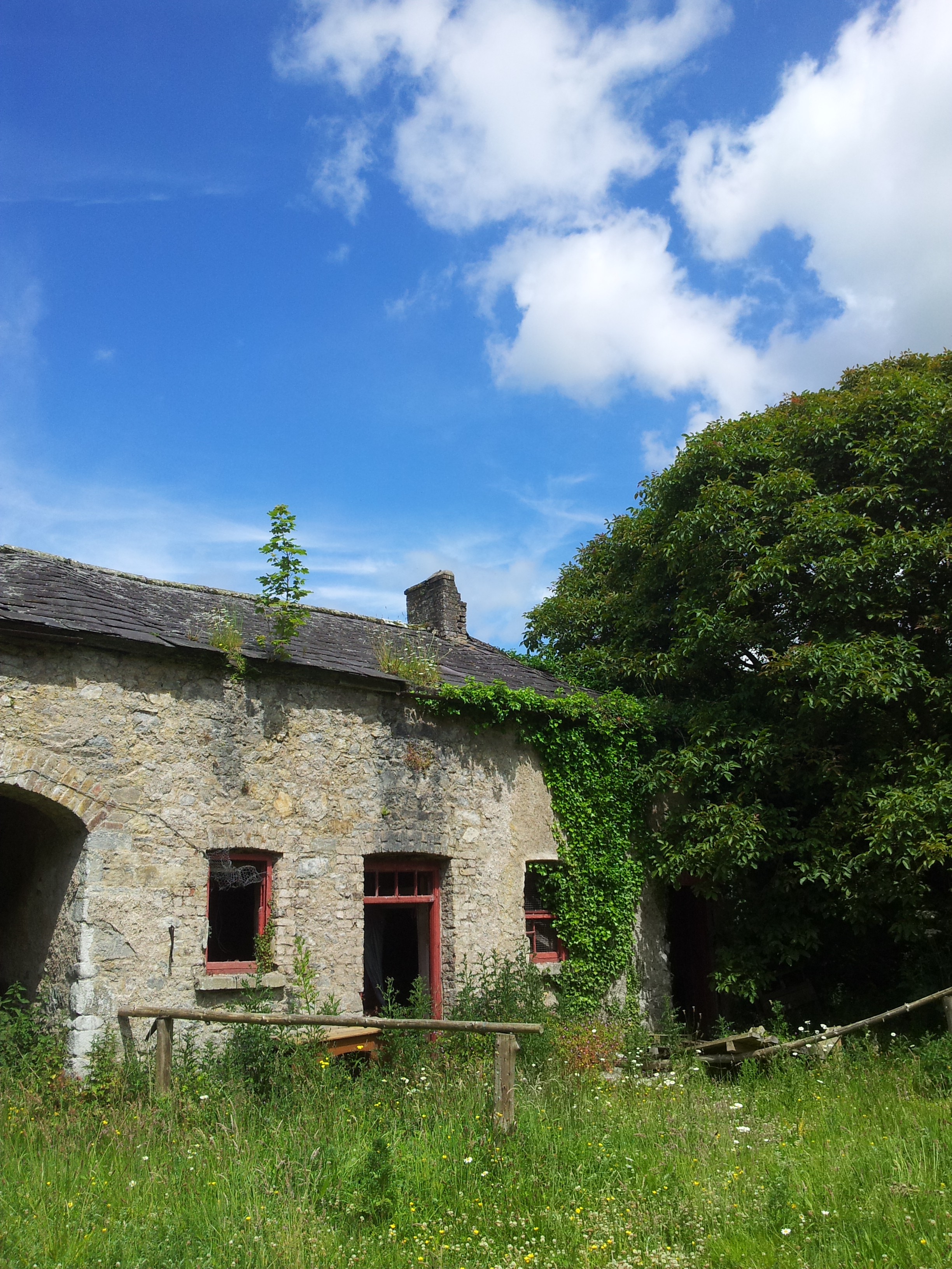 31. Donadea Castle, Co. Kildare | Visions Of The Past