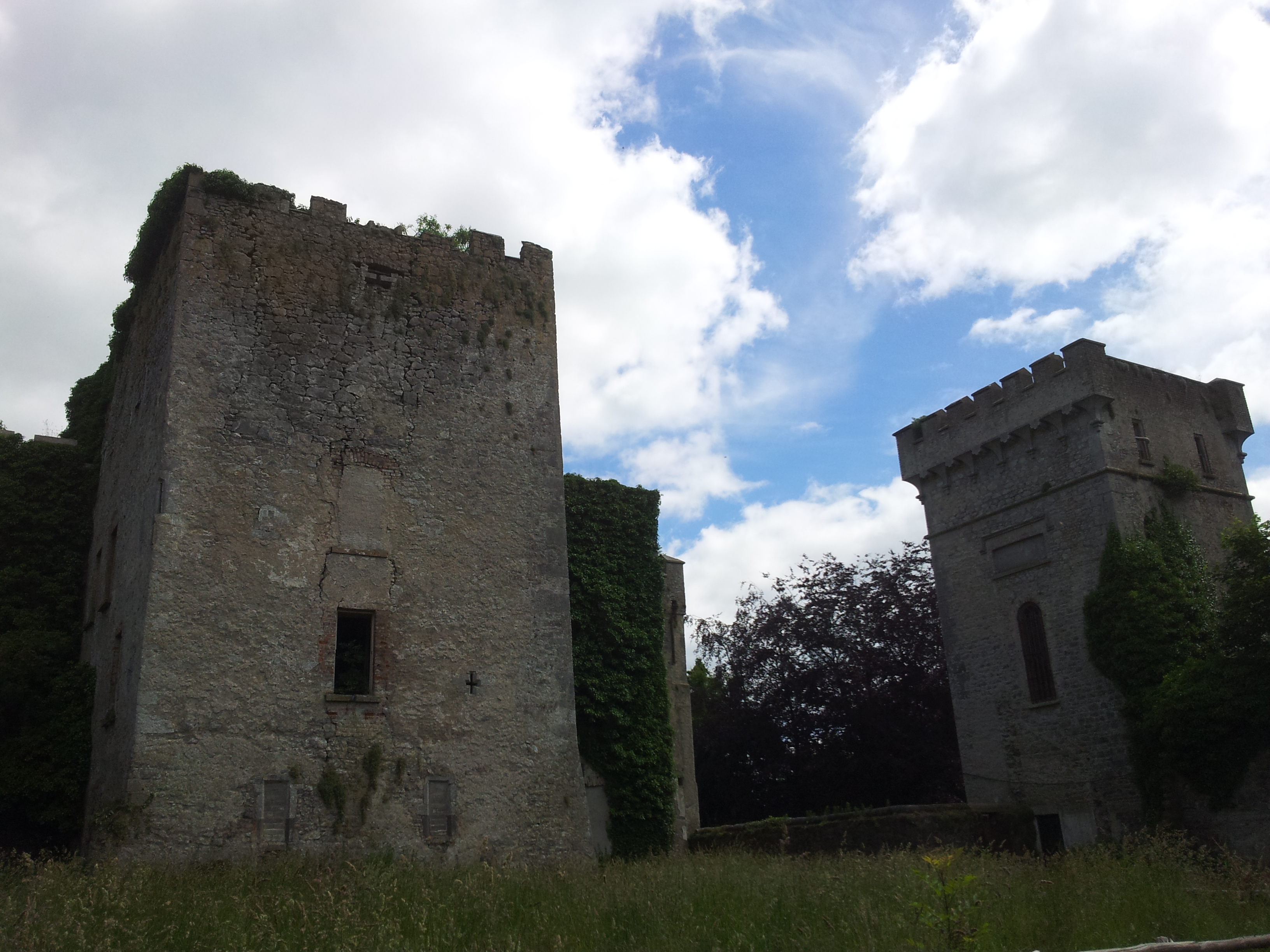 33. Donadea Castle, Co. Kildare | Visions Of The Past