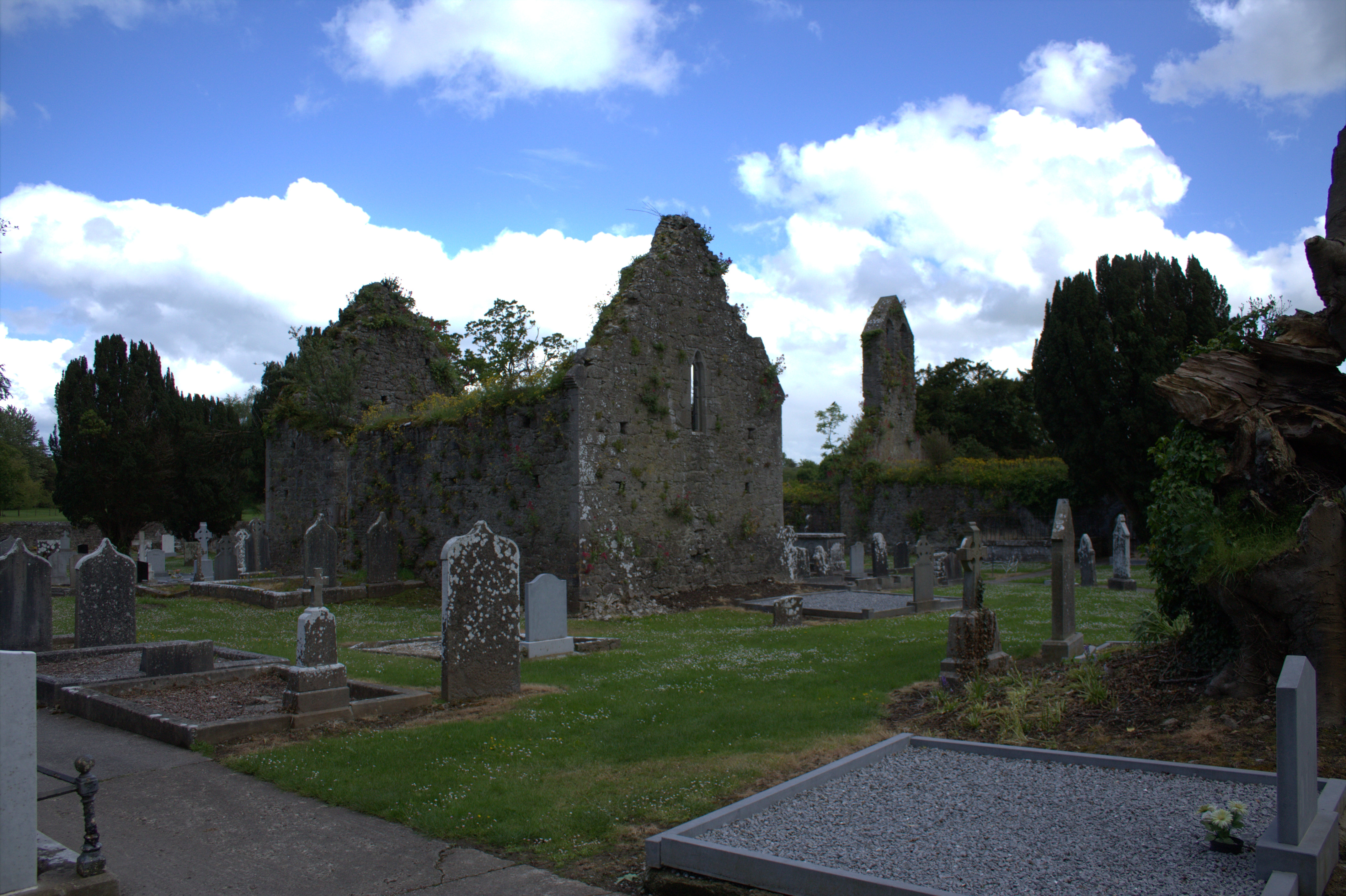 01. St Nicholas’ Old Graveyard, Co. Limerick | Visions Of The Past