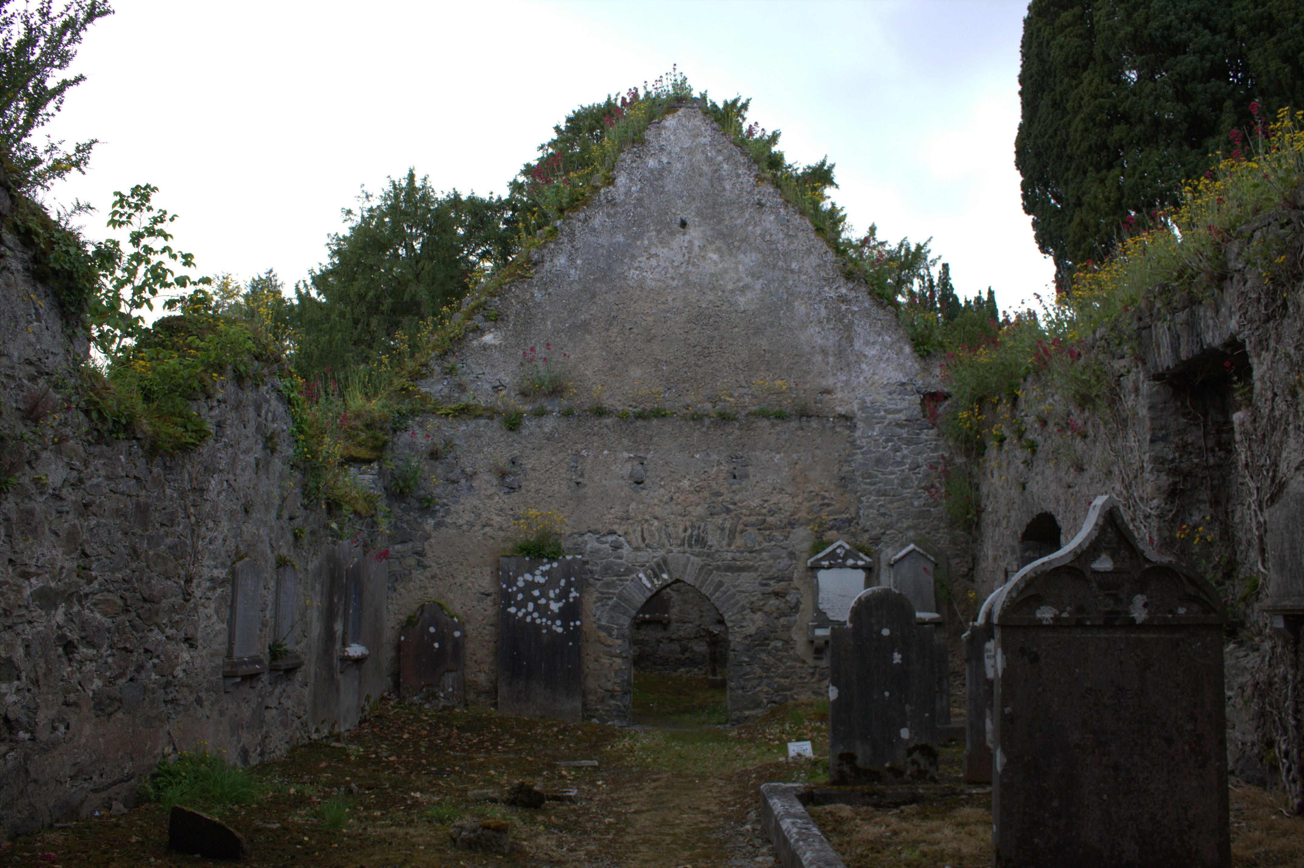 15. St Nicholas’ Old Graveyard, Co. Limerick | Visions Of The Past