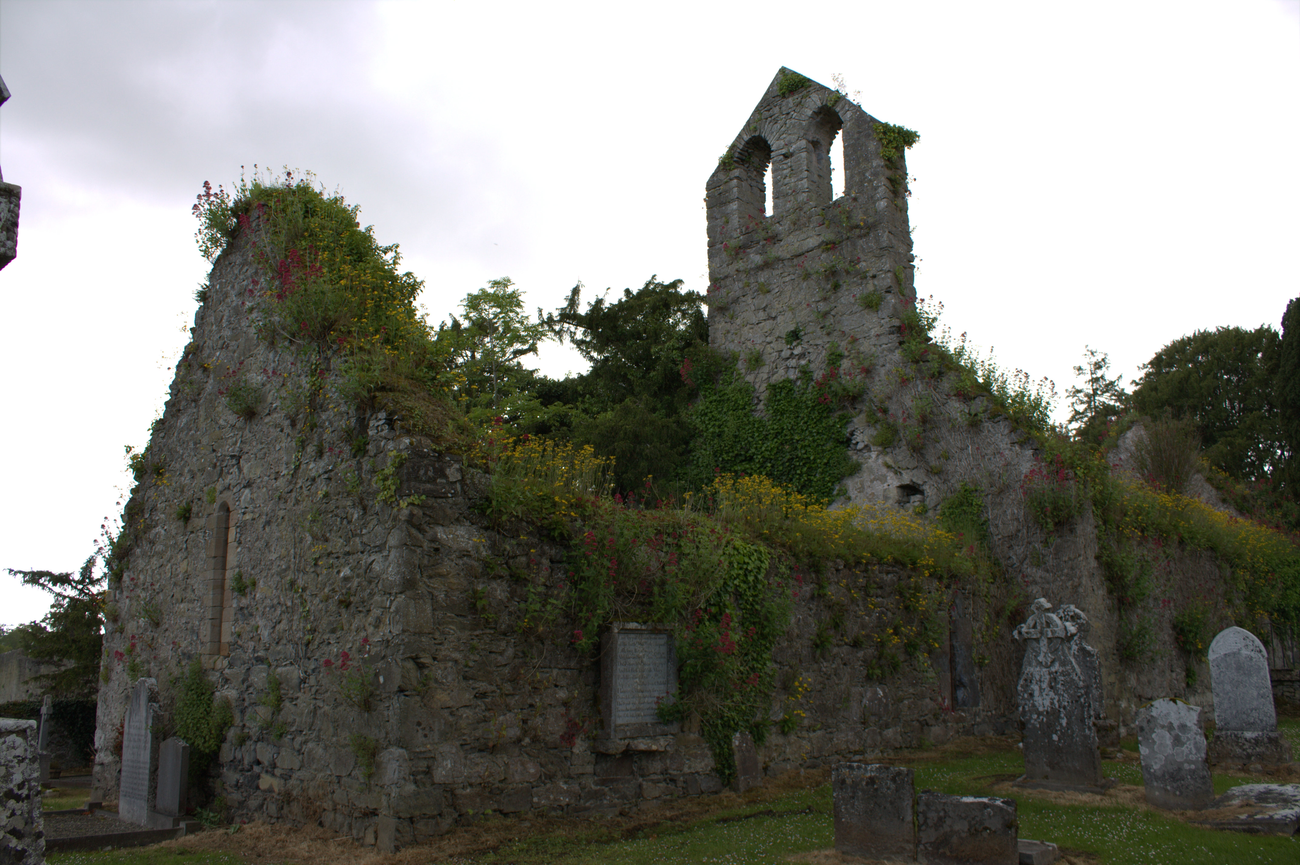 16. St Nicholas’ Old Graveyard, Co. Limerick | Visions Of The Past