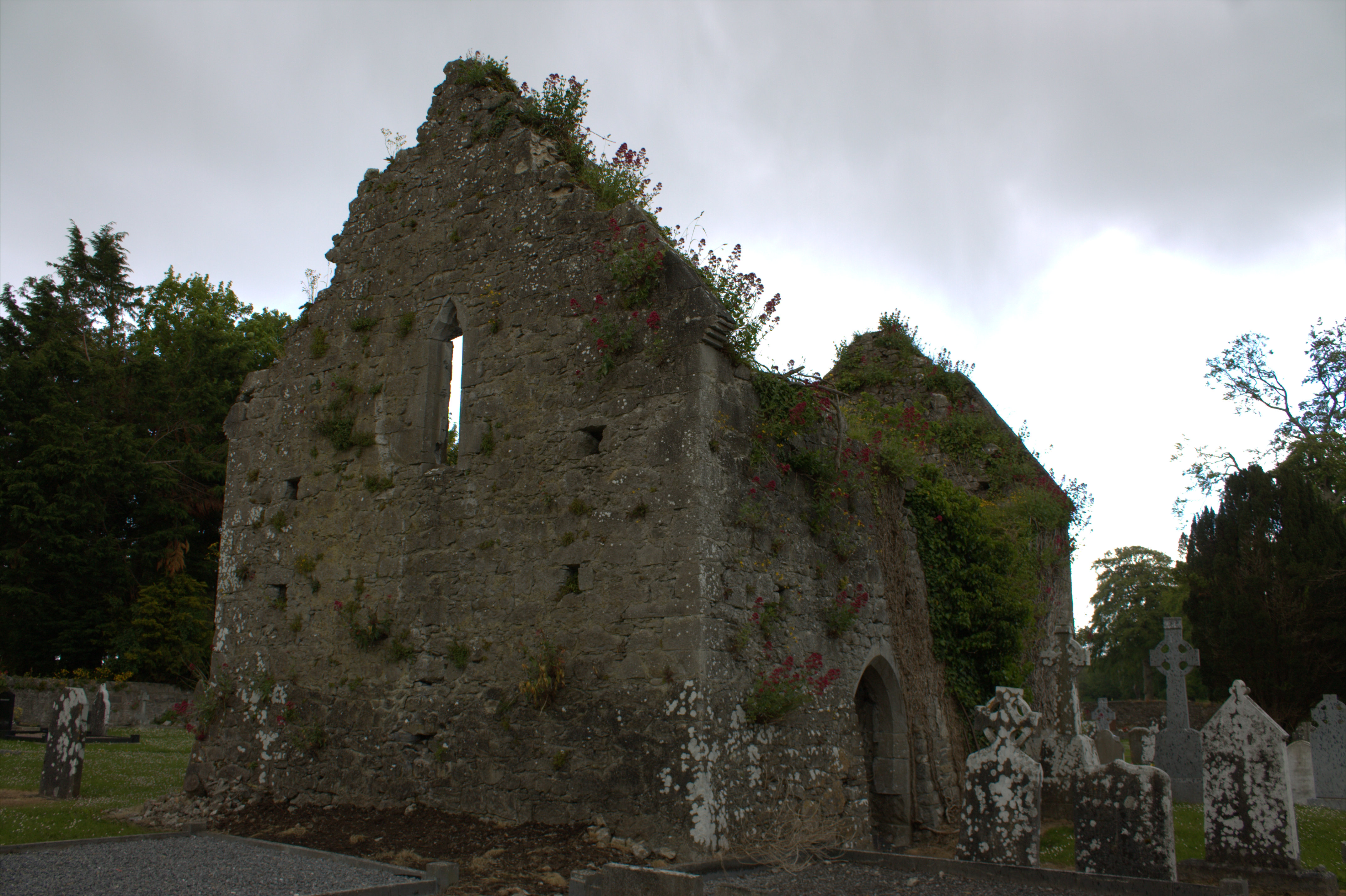 17. St Nicholas’ Old Graveyard, Co. Limerick | Visions Of The Past