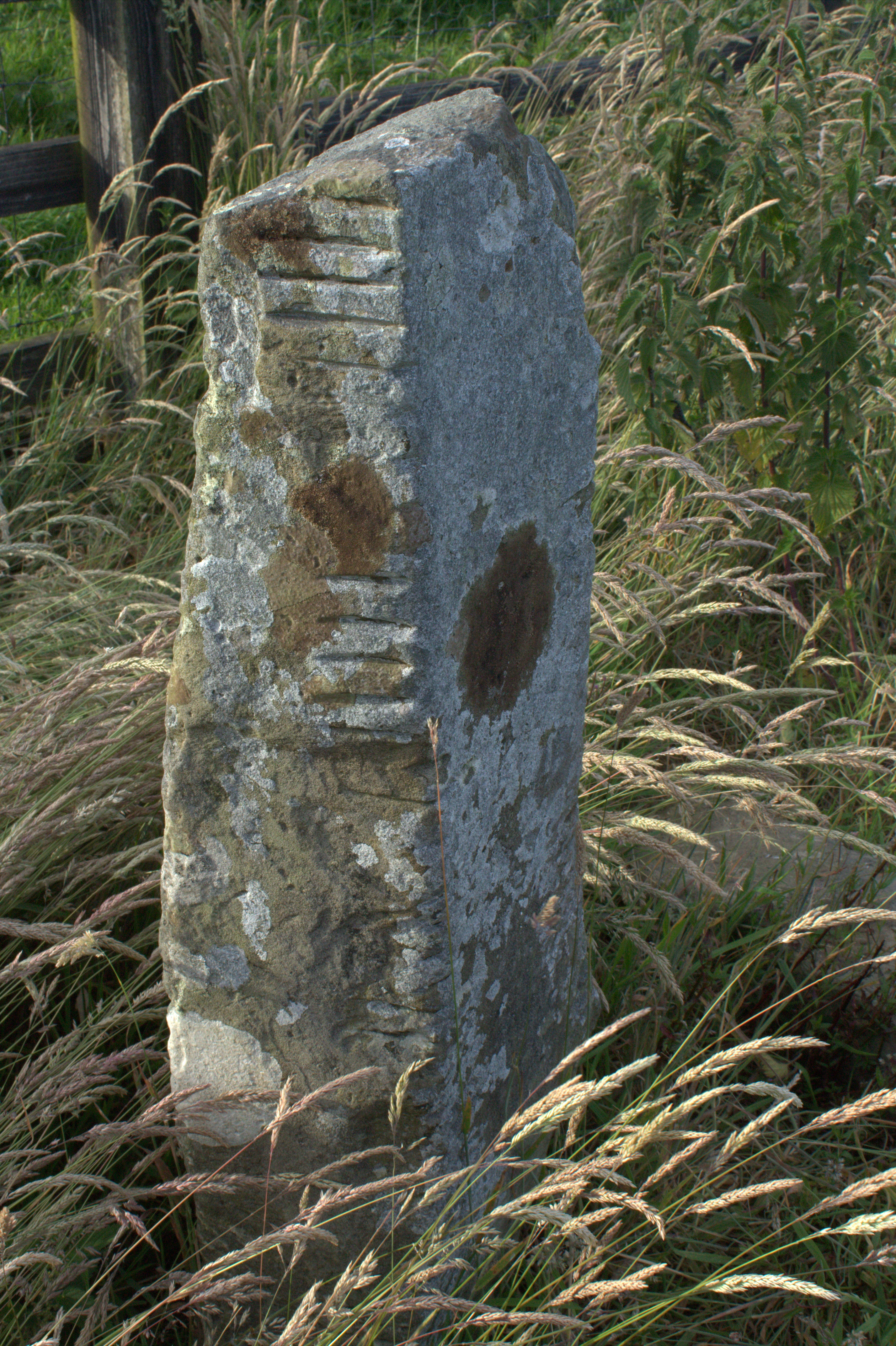 Drumlohan Ogham Stones & Souterrain, Waterford, Ireland | Visions Of ...