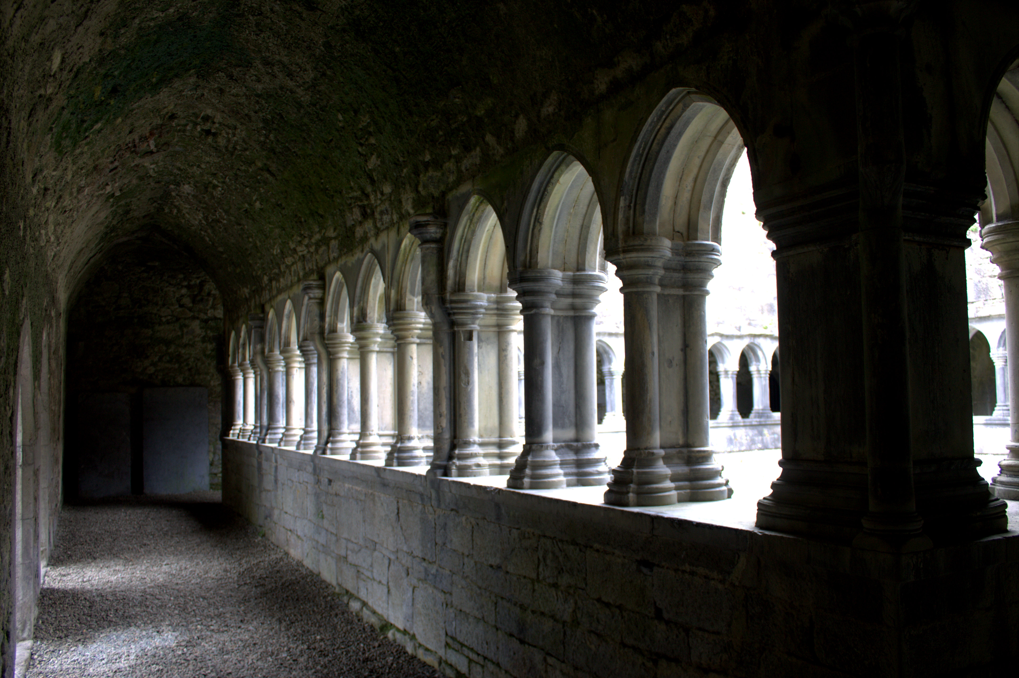 Askeaton Friary, Limerick, Ireland | Visions Of The Past