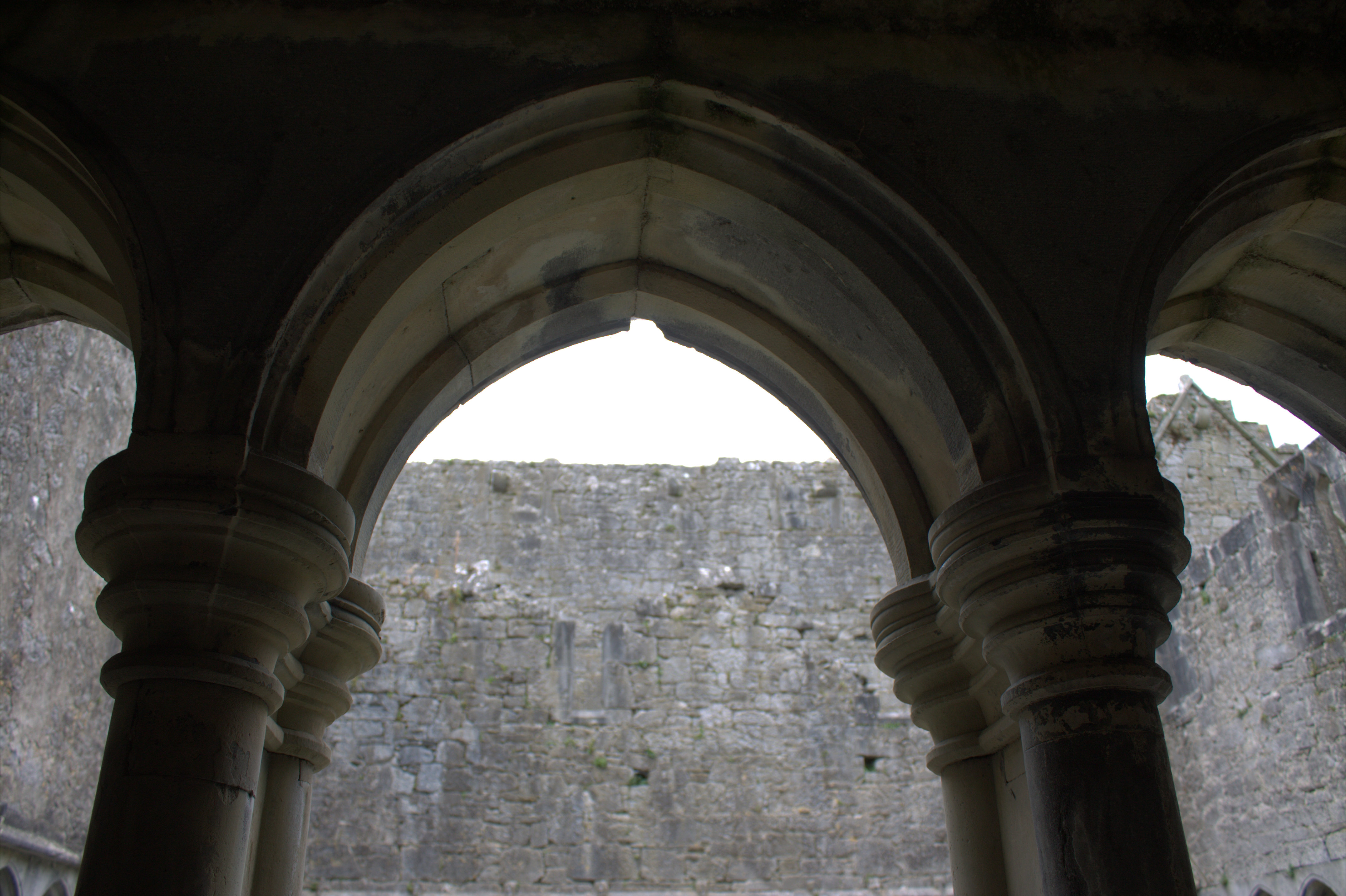 Askeaton Friary, Limerick, Ireland | Visions Of The Past
